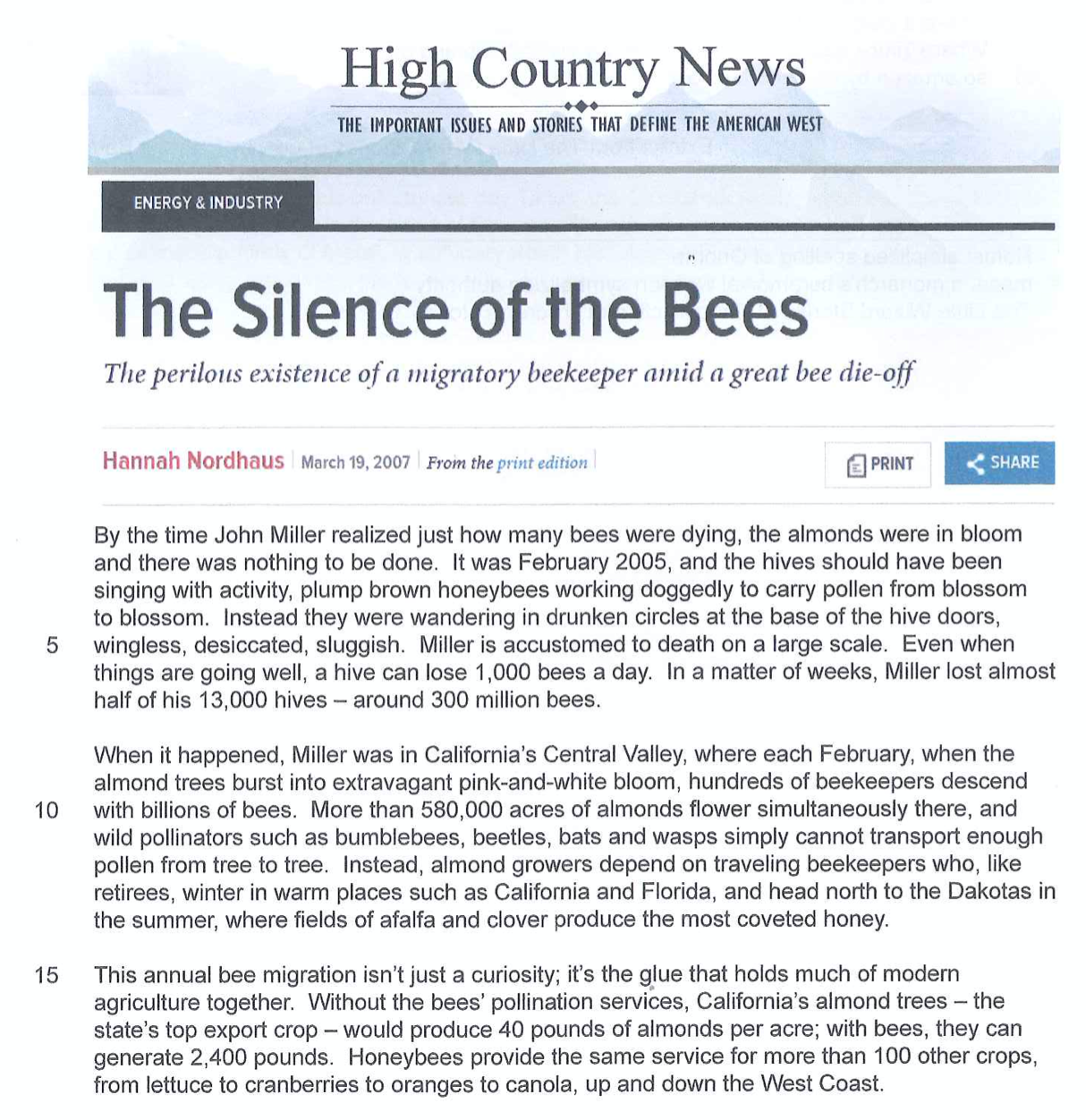 Disappearing Bees – IB Language and Literature 3.0